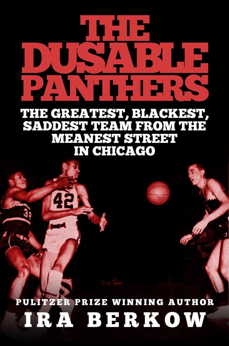 The DuSable Panthers - Diversion Books