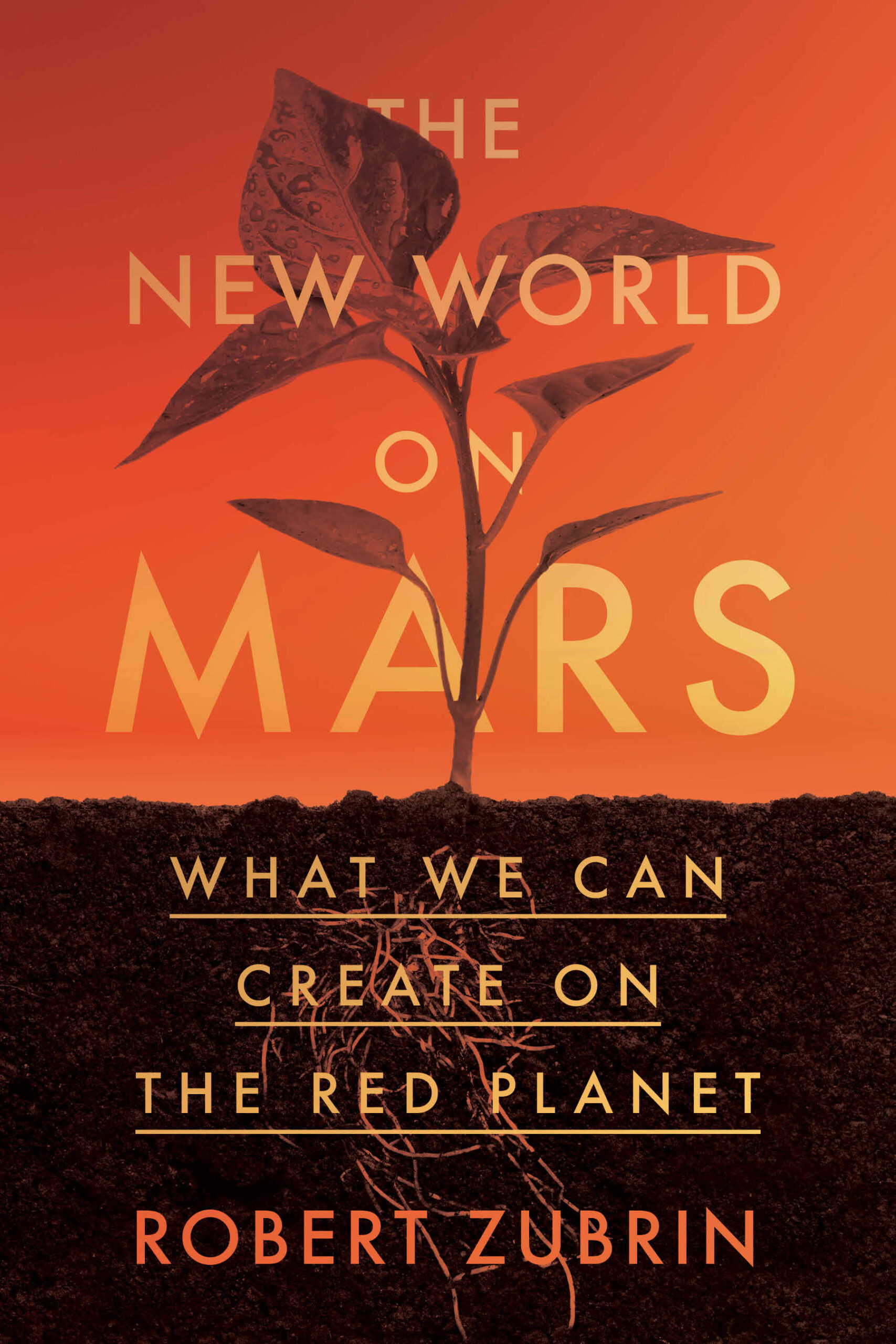 The New World on Mars - Diversion Books